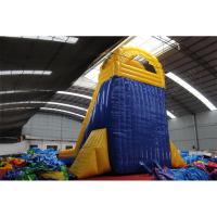 China Unisex Custom Logo Printed Commercial Inflatable Water Slide for Giant Water Fun for sale