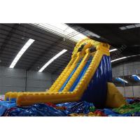 China Unisex Custom Logo Printed Commercial Inflatable Water Slide for Giant Water Fun for sale