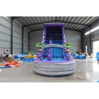China Unisex Wet Dry Yellow Tropical Palm Tree Commercial Inflatable Water Slide with Pool for sale