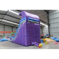 China Unisex Wet Dry Yellow Tropical Palm Tree Commercial Inflatable Water Slide with Pool for sale