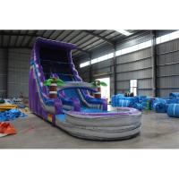 China Unisex Wet Dry Yellow Tropical Palm Tree Commercial Inflatable Water Slide with Pool for sale
