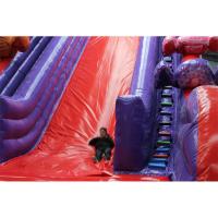China PVC Accessory Packing Bag Included Design Giant Dry Inflatable Bouncer Slide For Kids for sale