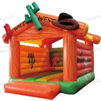 China Colorful PVC Cartoon Character Inflatable Bouncer Jumping Bouncy Castle with Slide for sale