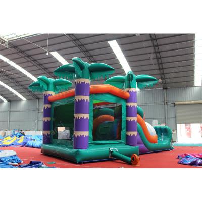 China Age Range 5 to 7 years Commercial Pvc Jumping Bouncer Dry Slide Custom Logo Printed for sale