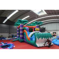 China Age Range 5 to 7 years Commercial Pvc Jumping Bouncer Dry Slide Custom Logo Printed for sale