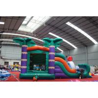China Age Range 5 to 7 years Commercial Pvc Jumping Bouncer Dry Slide Custom Logo Printed for sale