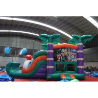 China Age Range 5 to 7 years Commercial Pvc Jumping Bouncer Dry Slide Custom Logo Printed for sale