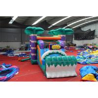 China Age Range 5 to 7 years Commercial Pvc Jumping Bouncer Dry Slide Custom Logo Printed for sale