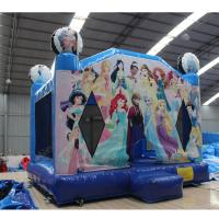 China Castle Inflatable Bouncer Cartoon Character Bouncy Jumping House with Customized Size for sale