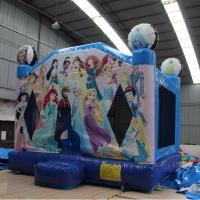 China Castle Inflatable Bouncer Cartoon Character Bouncy Jumping House with Customized Size for sale