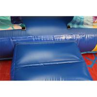 China Castle Inflatable Bouncer Cartoon Character Bouncy Jumping House with Customized Size for sale
