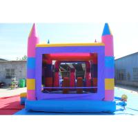 China Unisex Party Rental Equipment Large Bouncy Castle Water Slide with Customized Color for sale