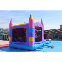 China Unisex Party Rental Equipment Large Bouncy Castle Water Slide with Customized Color for sale