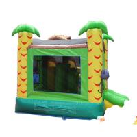 China 5-7 Years Age Range Inflatable Bouncy Castle Combo with Customized Color Outdoor Fun for sale
