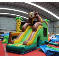 China Bouncy Popular Air Jumper Bouncer Castle for Boys and Girls 8-13 Years Old for sale