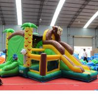 China Bouncy Popular Air Jumper Bouncer Castle for Boys and Girls 8-13 Years Old for sale
