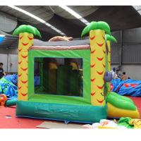 China Bouncy Popular Air Jumper Bouncer Castle for Boys and Girls 8-13 Years Old for sale