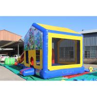 China Customized Color Inflatable Water Slide for Unisex Commercial Bouncer and Bouncy Castle for sale