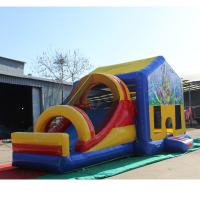 China Customized Color Inflatable Water Slide for Unisex Commercial Bouncer and Bouncy Castle for sale