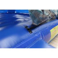 China Customized Color Inflatable Water Slide for Unisex Commercial Bouncer and Bouncy Castle for sale