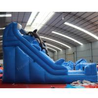 China Unisex Inflatable Dry Slide Customized Size Inflatable Castle Slides for Water Play for sale