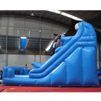 China Unisex Inflatable Dry Slide Customized Size Inflatable Castle Slides for Water Play for sale