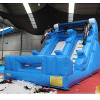 China Unisex Inflatable Dry Slide Customized Size Inflatable Castle Slides for Water Play for sale