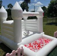 China Air Inflatables Castle Warehouse 14 Years up Custom Logo Printed Inflatable Bouncy Castle for sale