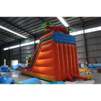 China Experience the Thrill with Our Custom Logo Printed Inflatable Castle Slides for sale