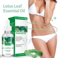 China 20ml Lotus Leaf Massage Essential Oil for Slimming Lifting Firming Big Belly Thigh Shaping for sale