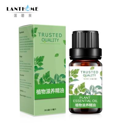 China Colorless Maca Plant Essential Oil 100ml Whitening Firming Body Massage Oil for sale