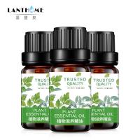 China Colorless Maca Plant Essential Oil 100ml Whitening Firming Body Massage Oil for sale