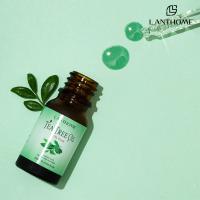 China Organic Tea Tree Essential Oil 10ml for Hair Growth Scalp Care OEM ODM for sale