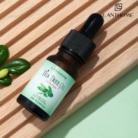 China Organic Tea Tree Essential Oil 10ml for Hair Growth Scalp Care OEM ODM for sale
