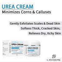 China Lanthome Camellia Foot Crack Cream 50ml Urea 40% Salicylic Acid for Cracked Heels Exfoliating Peeling Soft for sale