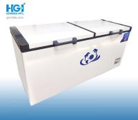 China Noise Level 45dB Deep Chest Freezer Mechanical Temperature Control Lowest Temperature Minus 18 Degrees and for Commercial for sale