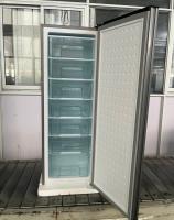 China 140L Deforst Refrigerator Portable Upright Freezer Single Door Bd-140 for sale