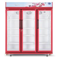 China 1000 Liters Chinese Suppliers Custom Freezer No Frost Upright Freezing Showcase Fridge Sc-1140 for sale