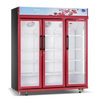China 1000 Liters Chinese Suppliers Custom Freezer No Frost Upright Freezing Showcase Fridge Sc-1140 for sale