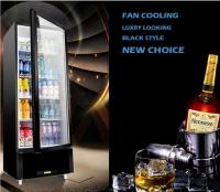 China Upright Display Single Glass Door Big Capacity 280L Cooler Freezer Showcase LC320nb for sale