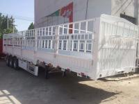 China 100 Tons Fence Semi Trailer Warehouse Railing Cargo Transport Vehicle 13 Meter Flower Basket Semi Trailer for sale