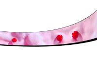 China Inner Arc LED Display P4mm Curved LED Screen Soft LED Video Wall for sale