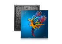 China P8 960X960mm Outdoor Waterproof Led Screen 6000 Nits APEXLS Display for sale