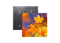 China 3840Hz DIP346 P10 Led Display Screen For Advertising Outdoor for sale