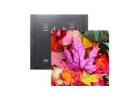China APEXLS DIP346 Outdoor LED Display Screen 960x960mm P12 LED Screen for sale