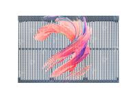 China OEM APEXLS Curtain LED Display 1R1G1B High Transparency Rate for sale