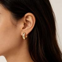 China Wholesale Custom Logo Hypoallergenic Brass 14K Gold Plated Star Earring Small Medium Large Size Huggie Hoops with Zircon Stones for sale