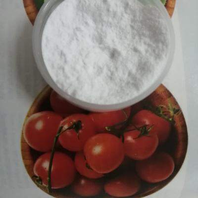China 7558 79 4 Sodium Hydrogen Phosphate Dibasic for sale