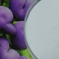 China Water Treatment Agent White Powder CAS 13845 36 8 KTPP for sale