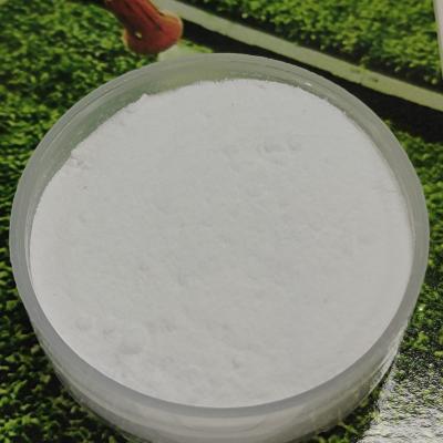 China K2HPO4 DKP Chemical for sale